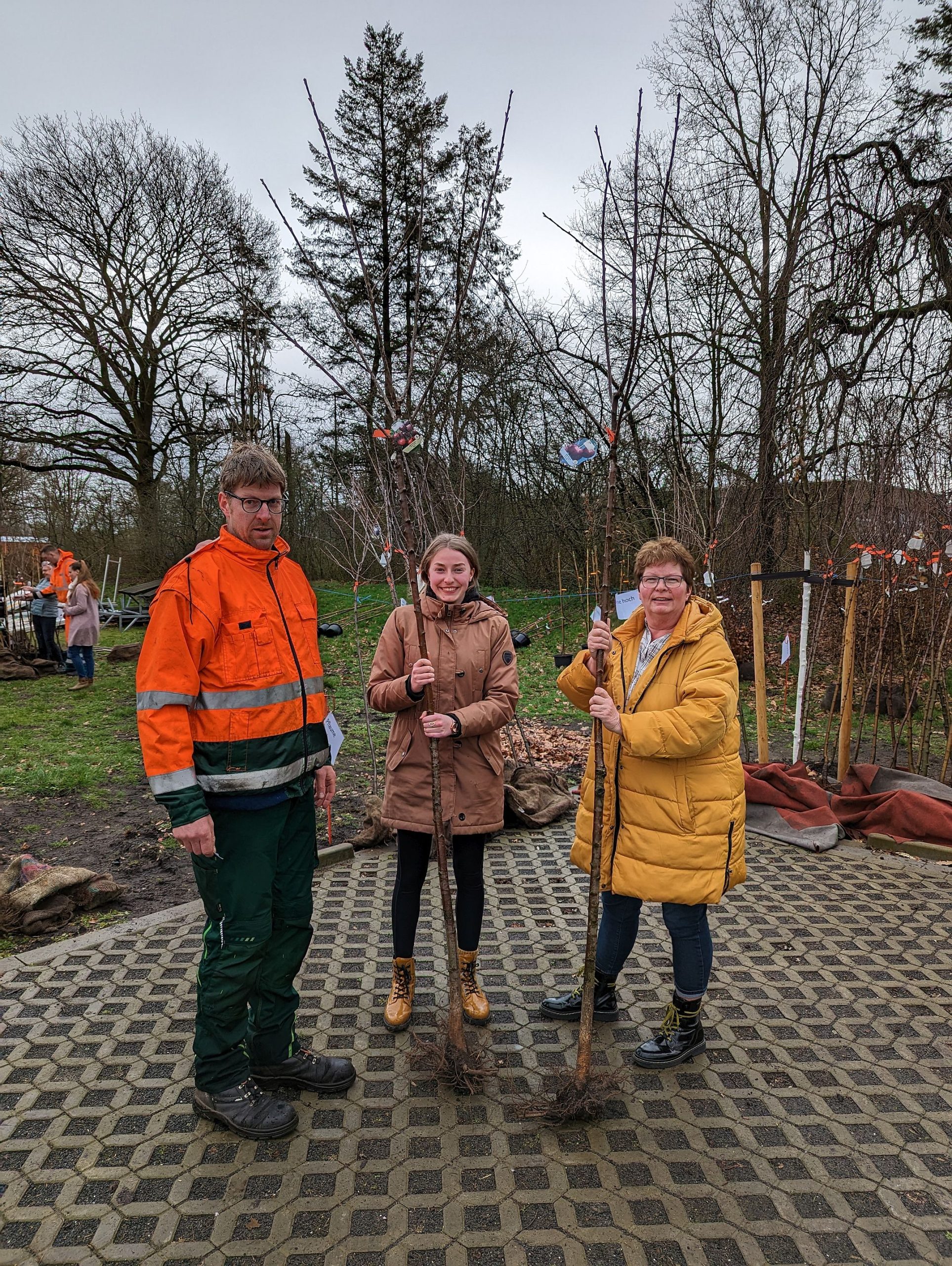 Klima-Baum-Aktion der Stadt Nordhorn: Alle 350 kostenlosen Bäume wurden ...
