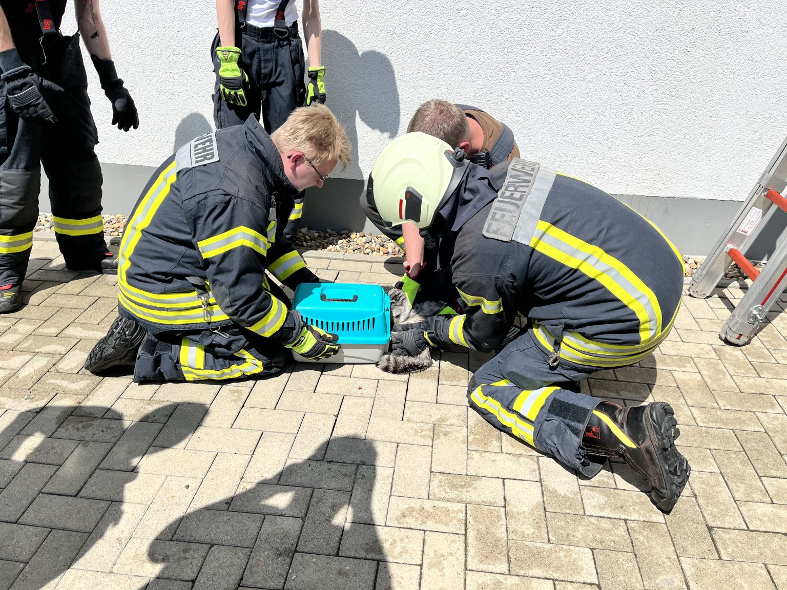 Zwei Verletzte und 75.000 Euro Schaden bei Balkonbrand in Nordhorn – Ems Vechte Welle